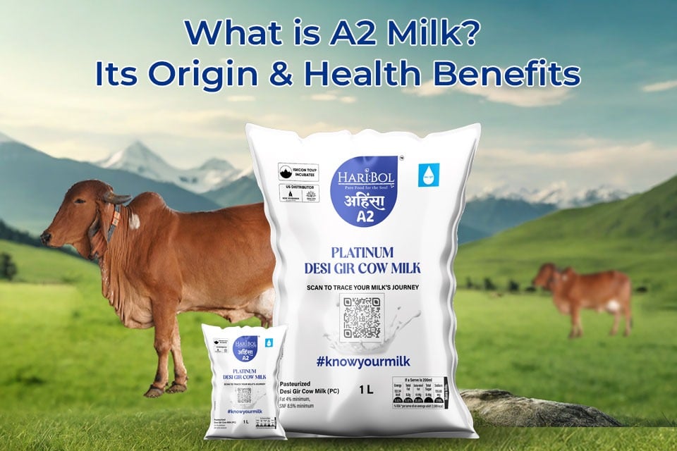 What is A2 Milk? Its Origin & Health Benefits